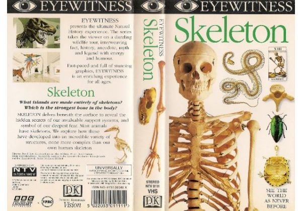 Eyewitness Skeleton On Dorling Kindersley United Kingdom VHS Videotape 